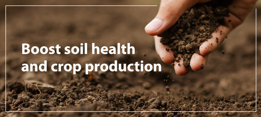 Soil Health: How Plant-based Biostimulants contribute to Healthy and ...