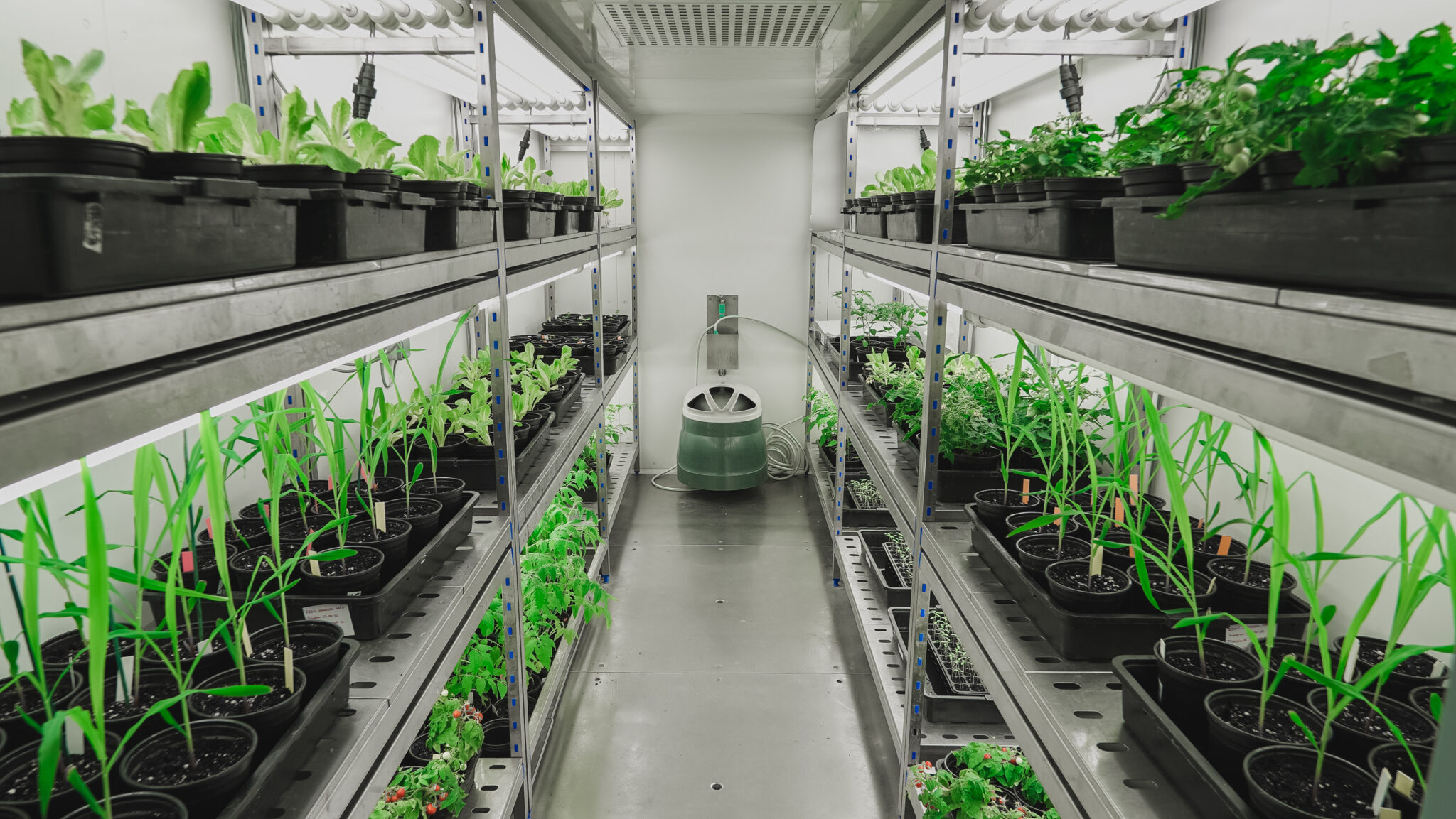 Plant Biostimulants for Climate-Smart Agriculture